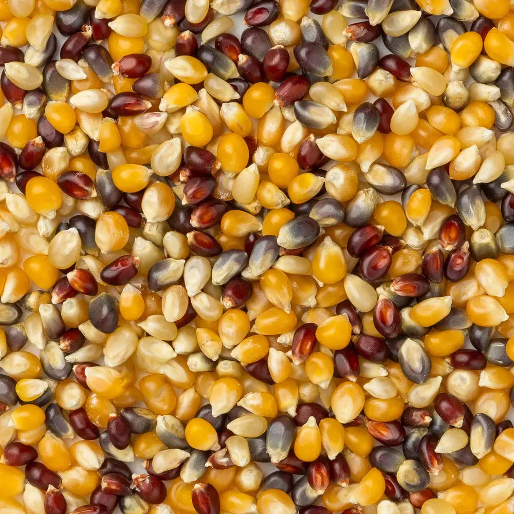 Rainbow Popcorn Bag of Kennels- 2 Pound Bag – Ozarkland General Stores